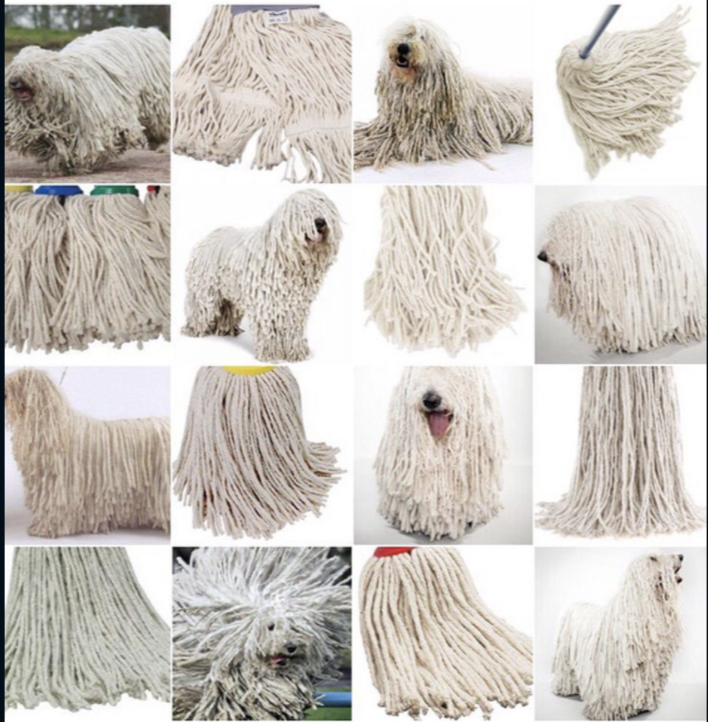 Algorithmen im Alltag